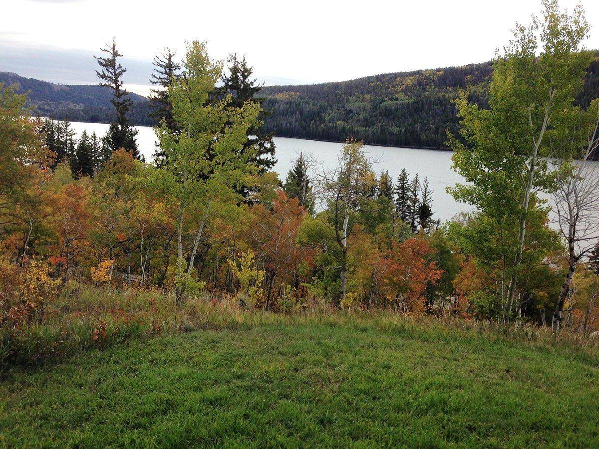 Gallery | Half Moon Lake Lodge